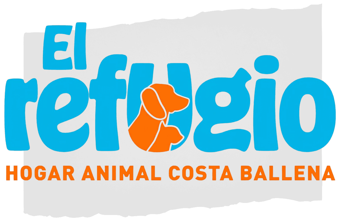 El Refugio Costa Ballena | Perros y gatos en Costa Rica